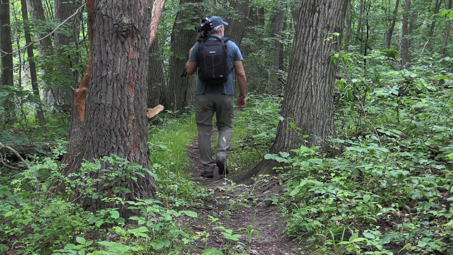 Nature Bathing - Mike Moats - Award Winning Macro Photographer