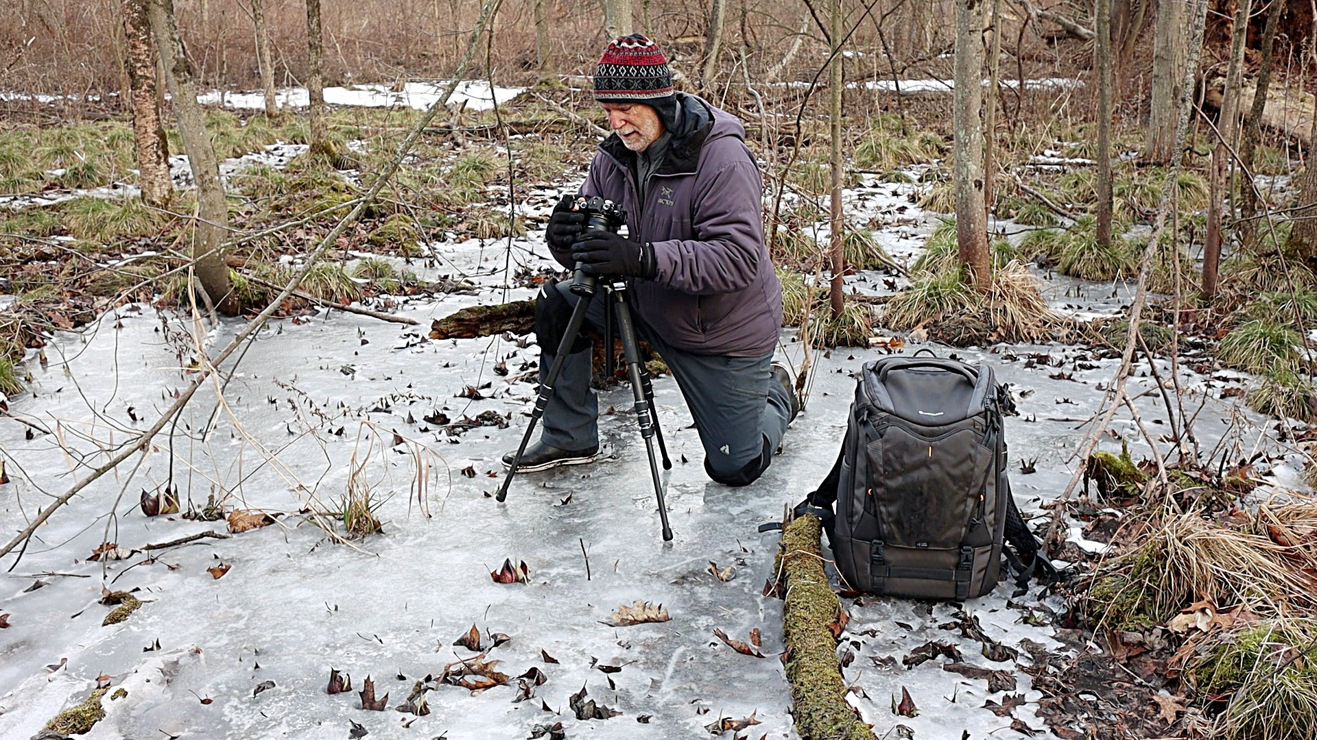 Photographing wildflowers in mid-winter, Michigan??? - Mike Moats ...