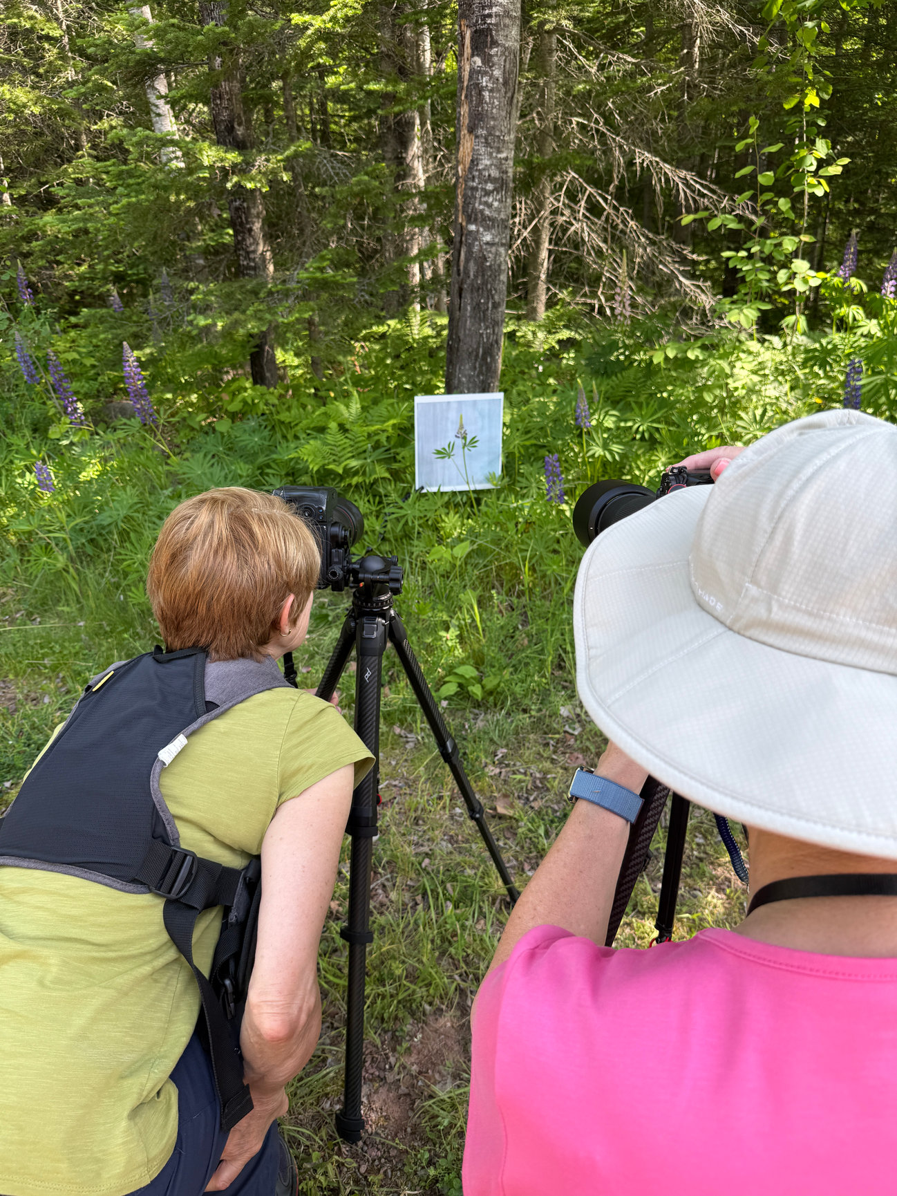 Four Flower Photography Experts - 5-day Flower Workshop - Mike Moats ...