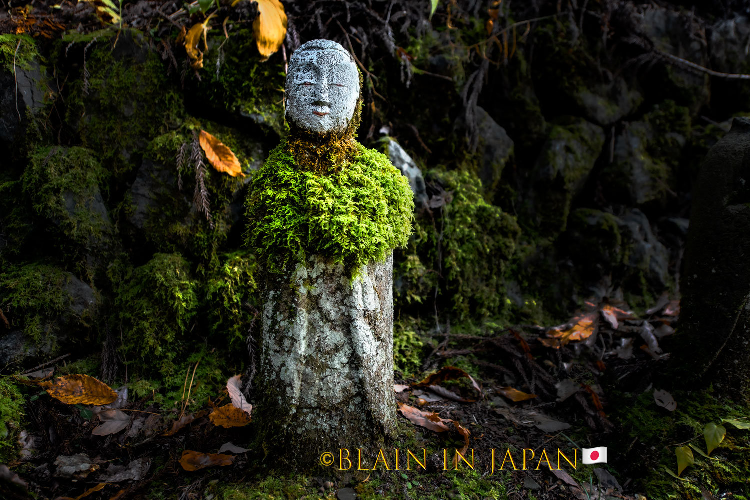 Castles, Shrines & Temples of Japan Gallery | Blain Harasymiw Photography