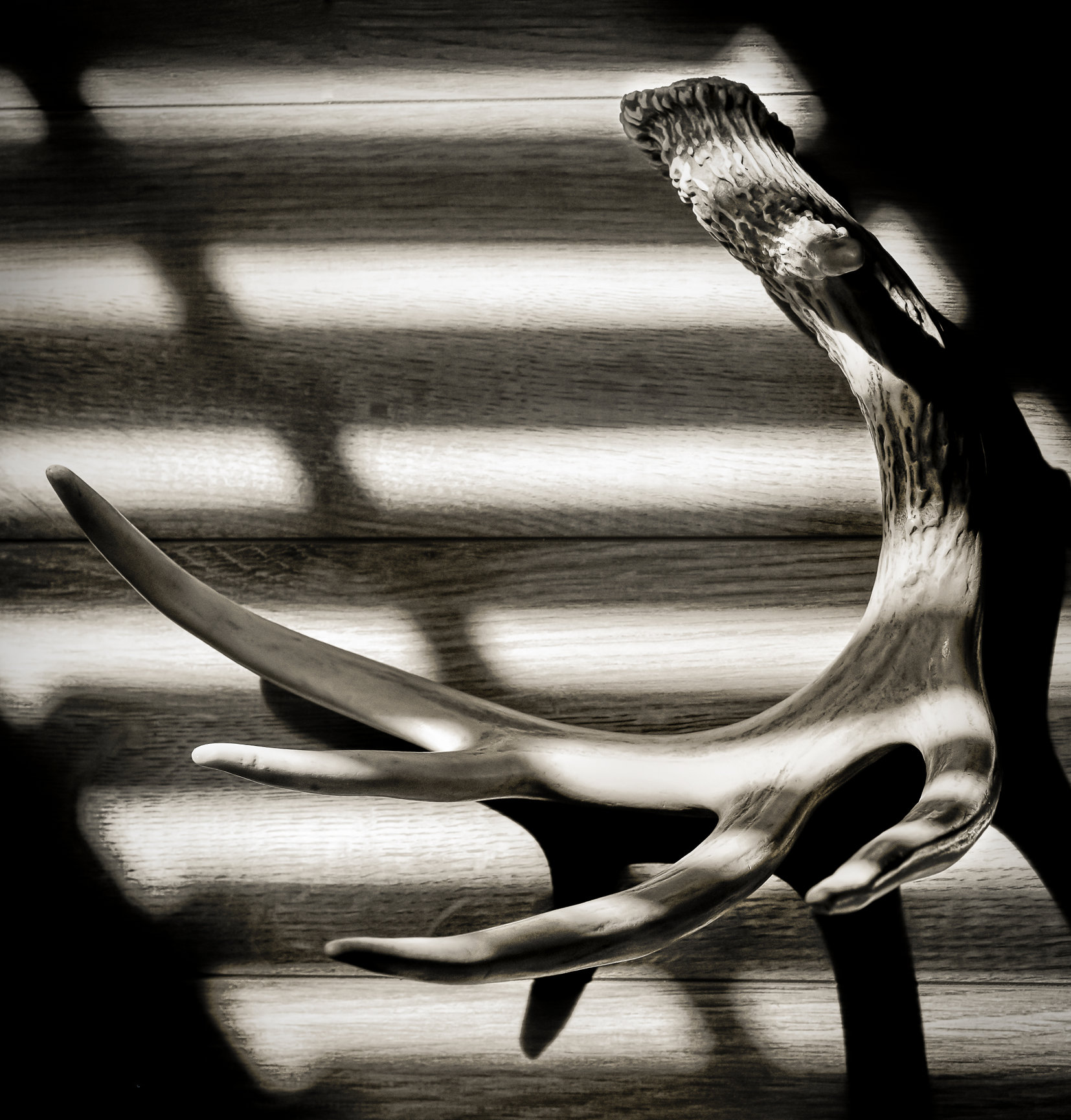 HOME - Steven Kaye Photography